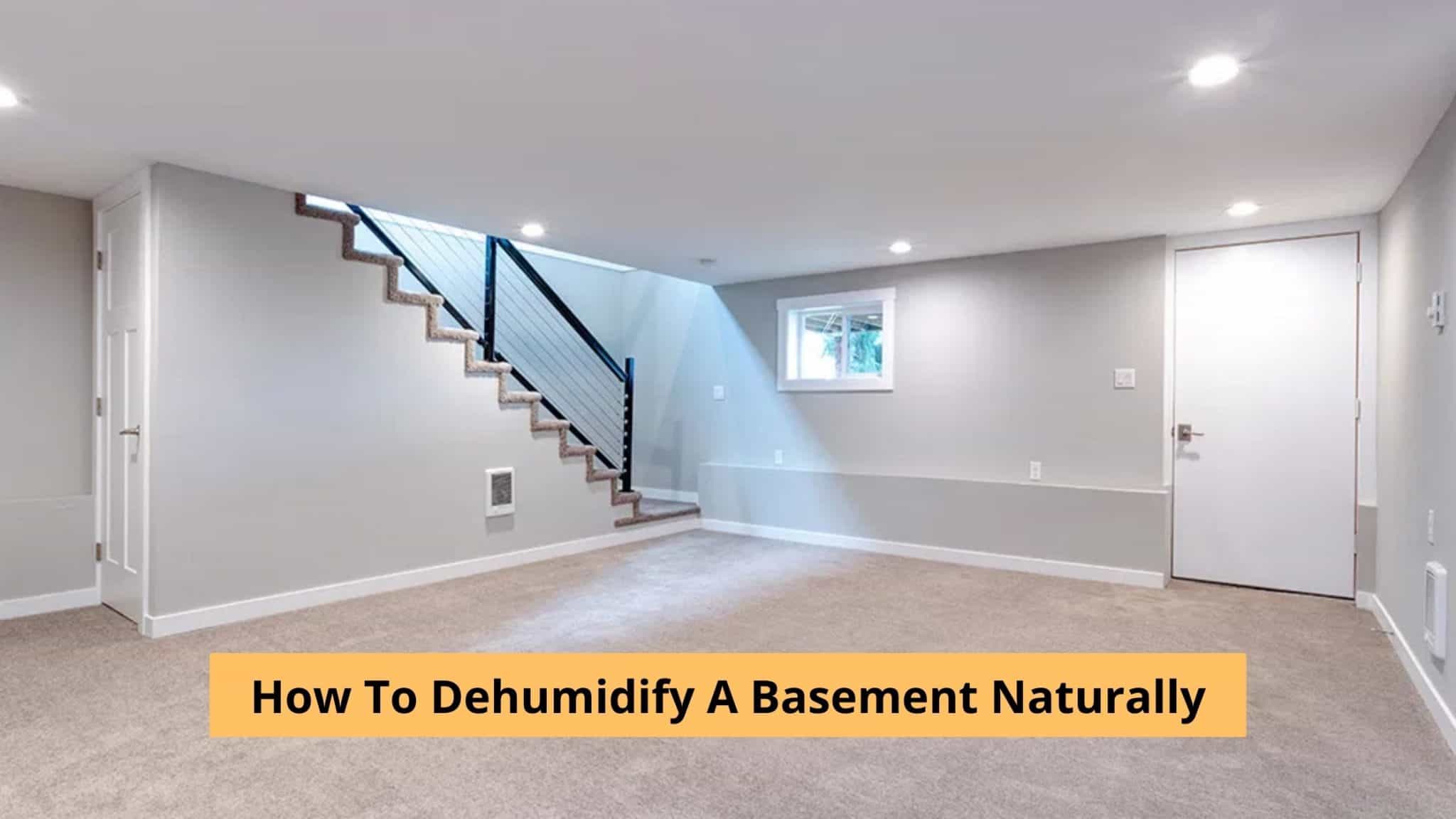 How To Dehumidify A Basement Naturally - HVAC BOSS