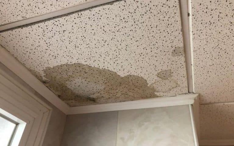 Whole House Humidifier Problems - 4 You Need To Know Now - HVAC BOSS