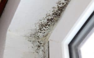 Whole House Humidifier Problems - 4 You Need To Know Now - HVAC BOSS