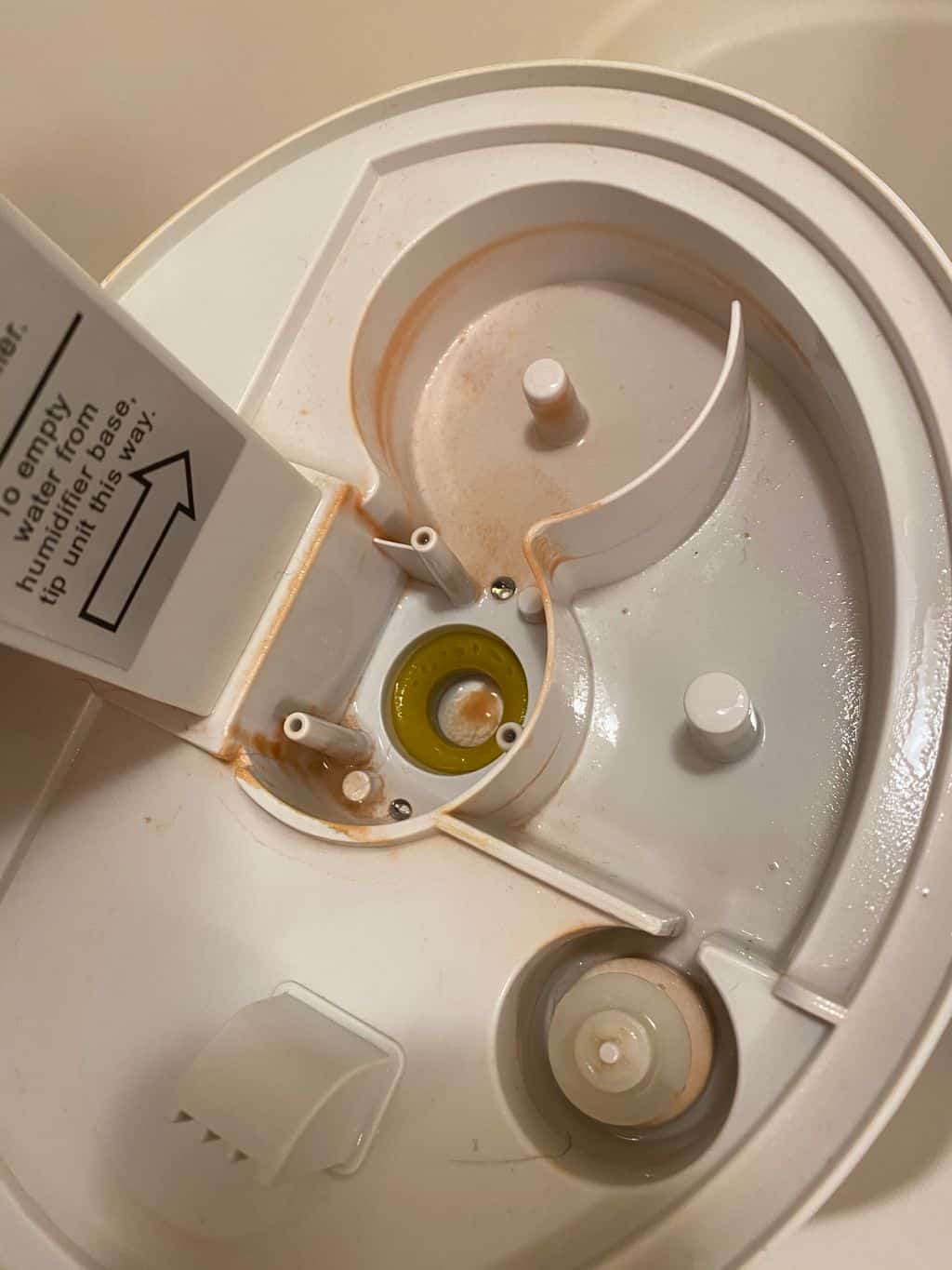 How to Prevent Mold in A Humidifier?
